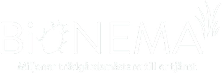 NEMAblom® mot sorgmyggor direkt från tillverkaren | Biologiskt – Bionema